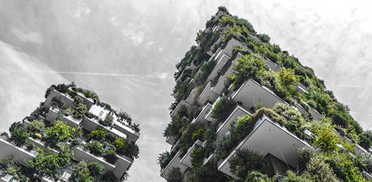 Beutel Goodman crée un nouveau poste de chef de l’investissement ...